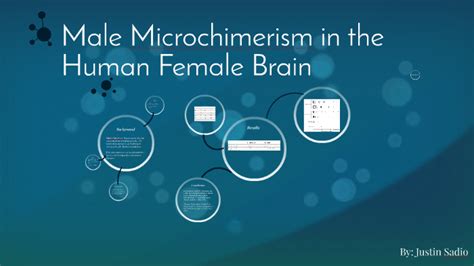 Male Microchimerism In The Human Female Brain By Justin Sadio On Prezi