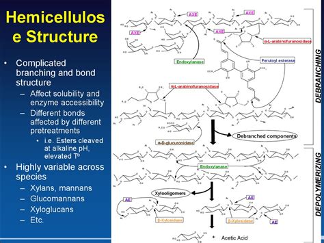 Hemicellulose Chemical Formula