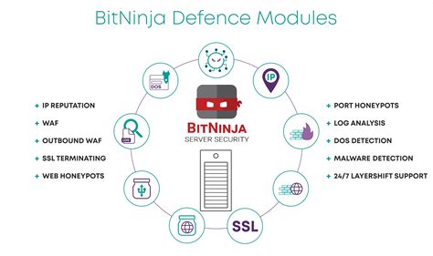 Enscale And Bitninja Advanced Server Security