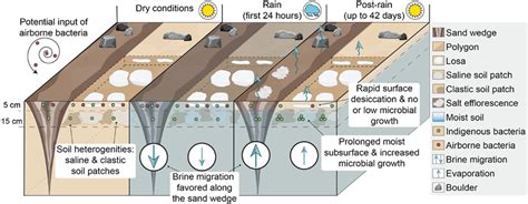 Conceptual Interpretation Of The Processes In The Polygon And Sand