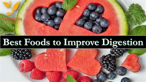 6 Best Foods To Improve Digestions Forestrypedia