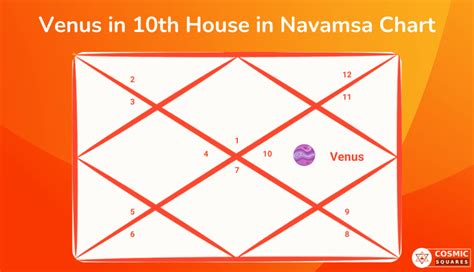 Venus In Navamsa Chart Effects In All 12 Houses Explained