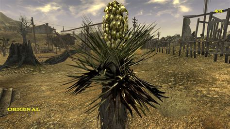 Fallout New Vegas Ai Enhanced Texture Pack Improves Over 10000 Textures