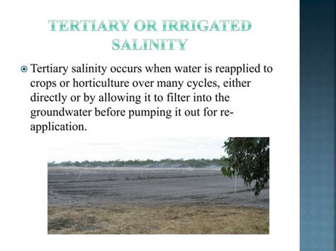 Salinity And Types Of Salinity Pptx Agriculture Industries