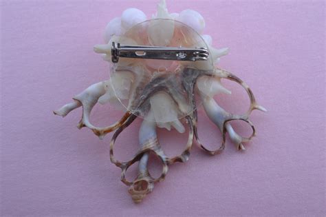 Shell Brooch 708y Amanda Appleby