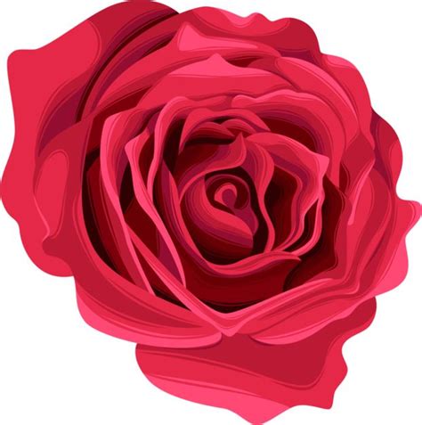 Рисованные цветы в формате Png Rose Flowers Plants