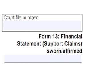 Form 13 And 13 1 Financial Statements Disclosure Clinic