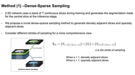 Embc Multi Slice Dense Sparse Learning For Efficient Liver And