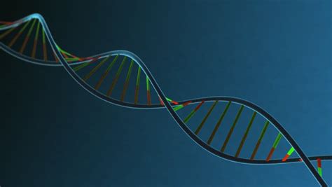 Scientists Develop Novel Mode Of Linear Hybridization Chain Reaction Statnano