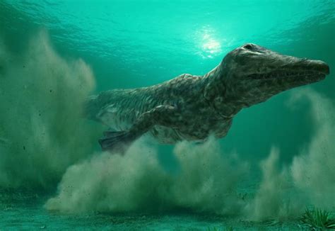 Ambulocetus Walking With Dinosaurs Wiki Fandom Powered By Wikia