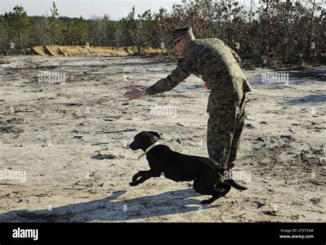 Us Navy Col Sam Kirby Takes Part In An Improvised Explosive Device