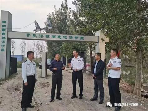 济宁市人民政府 野生动植物 济宁市公安局赴南四湖青头潜鸭栖息地保护区调研生态警务工作