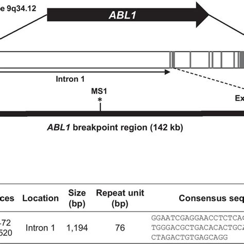 Vntr Analysis Of Abl1 Breakpoint Cluster Region A Schematic Of The Download Scientific Diagram