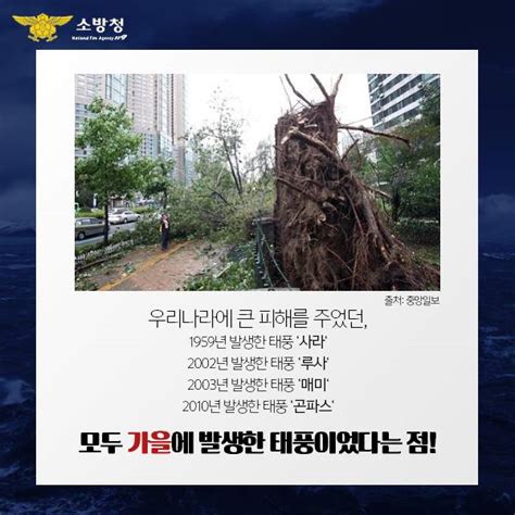 태풍 대비 행동요령 인스티즈instiz 이슈 카테고리