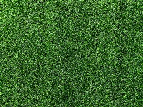 Green Grass Texture Background Grass Garden Concept Used For Making Green Background Football