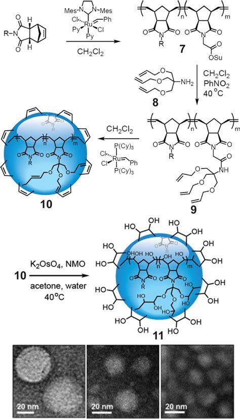 Intramolecularly Cross Linked Polymers From Structure To Function With Applications As