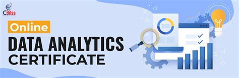 Online Data Analytics Certificate Data Analyst
