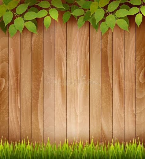 Natural Wooden Background With Leaves And Grass Stock Vector