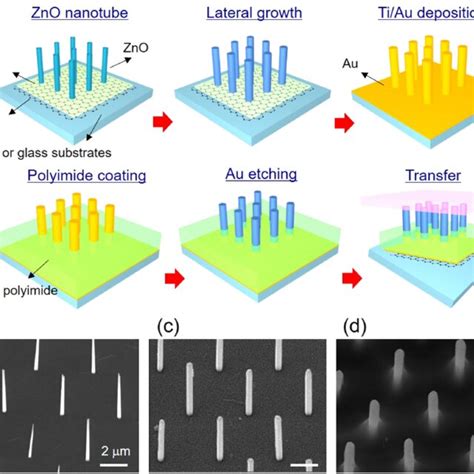 Fabrication Process For Zno Nanotube Waveguide Arrays A Schematic