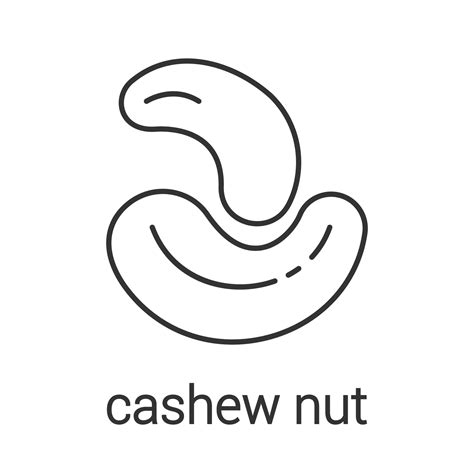 Cashew Nut Linear Icon Thin Line Illustration Contour Symbol Vector Isolated Outline Drawing