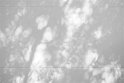 콘크리트 벽에 그림자 잎의 흑인과 백인 추상 배경 Textuer 0명에 대한 스톡 사진 및 기타 이미지 0명 가까운 건물
