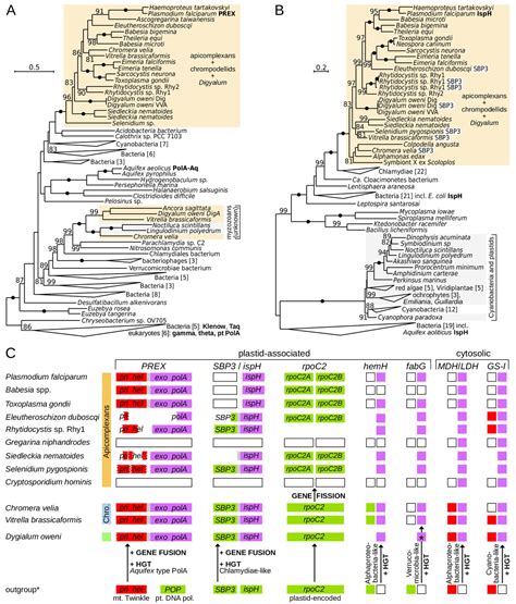 Apicomplexan Like Parasites Are Polyphyletic And Widely But Selectively Dependent On Cryptic