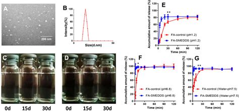 Figure 1 From Self Microemulsifying Drug Delivery System For Improved Oral Delivery And Hypnotic