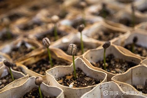 随机种子 3407 Is All You Need 大数据文摘授权转载自夕小瑶的卖萌屋 作者：天于刀刀 你最常用的随机种子是哪个？ 在刀刀的