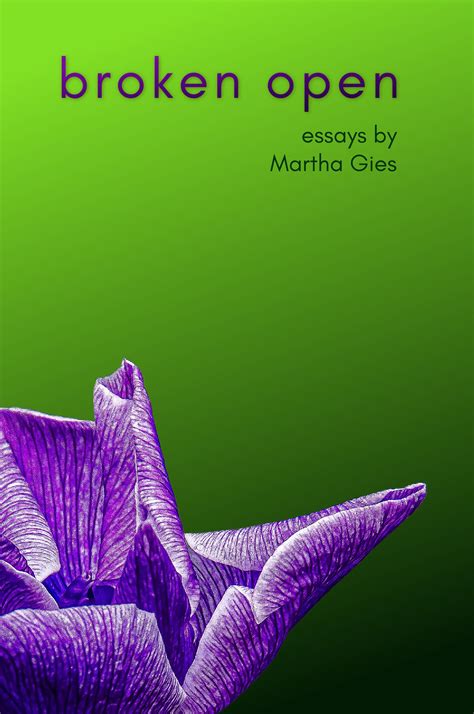 Broken Open — Martha Gies