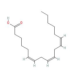 20 HETE Ligand Page IUPHAR BPS Guide To PHARMACOLOGY