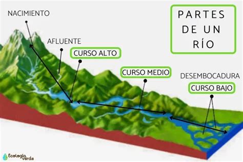 Diferencia Entre Rio Y Ria Encuentra La Diferencia