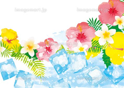 青い海とハイビスカスのイラスト素材 140998719 イメージマート