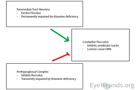 Wernicke Encephalopathy