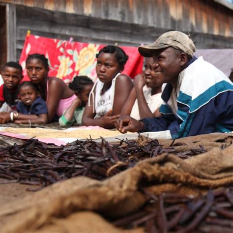 Livelihood Projects Givaudan Foundation