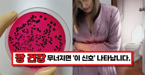 원래 없던 이 증상 나타나면 장 건강 위험합니다 몸에서 보내는 장 건강 이상신호들 라임뉴스