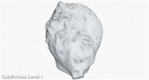 바다 껍질 8 3d 모델 49 3ds Fbx Obj Max Free3d