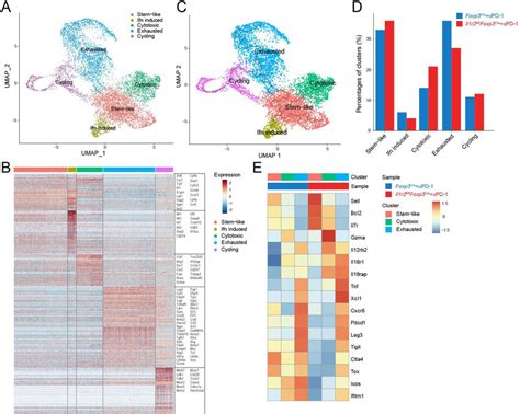 Il1r2 Deficiency In Treg Cells Diminished Exhaustion In Cd8 T Cells