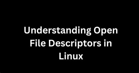 Understanding Open File Descriptors In Linux