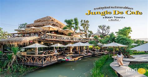 คาเฟ่นั่งชิลล์ ชมวิวทุ่งนาสุดอลังการ ที่ Jungle De Cafe
