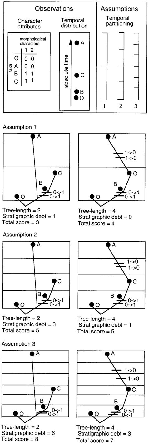 the effect of time partitioning on the optimality criterion total