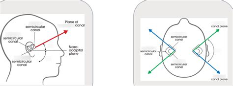 Semicircular Canals Diagram Diagram Quizlet