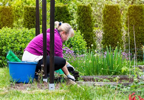 Diy Landscaping Projects For Homeowners Simple Doable Projects That