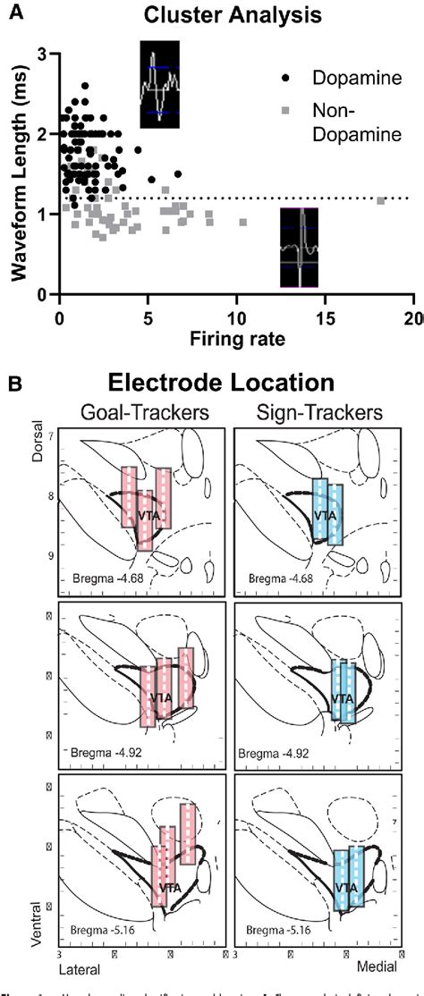 Figure 1 From Neurons Of The Ventral Tegmental Area Encode Individual