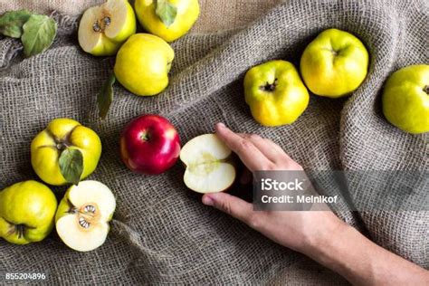 가 추수 식품 개념입니다 회색 질감된 Fabrick의 자루에는 과일 녹색 노란색 Quinces 많이 한 빨간 사과 1 2 및