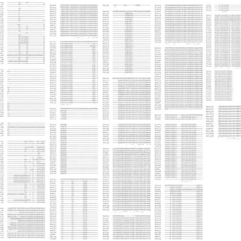 Muscle 37 Multiple Sequence Alignment Clustal Format Of