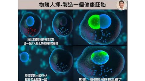 竟然有3個父母基因！ 「三親嬰兒」是否合法？各國爭議