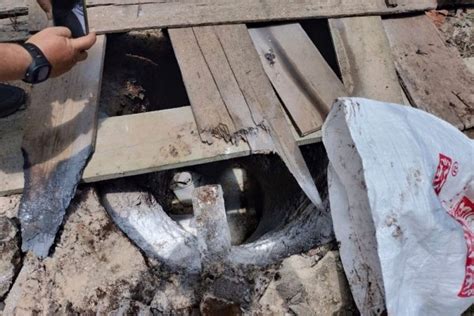Evakuasi 4 Jasad Korban Pembunuhan Dikubur Di Septic Tank
