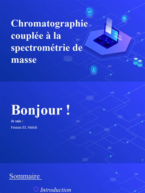 Chromatographie En Phase Gazeuse Pdf