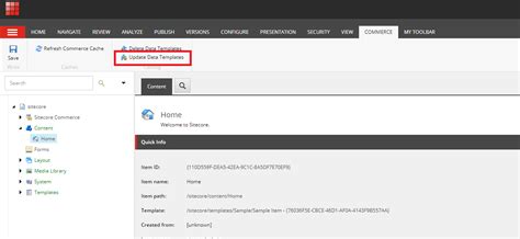 Sitecore Commerce 9 Updating Data Templates Gives Exception Straight
