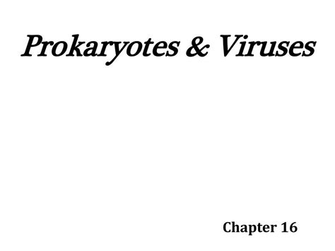 PPT Prokaryotes Viruses PowerPoint Presentation Free Download ID 2408653